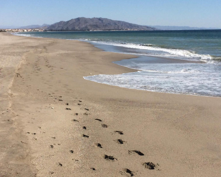 Playa del Puerto Rey - Qué Ver en España